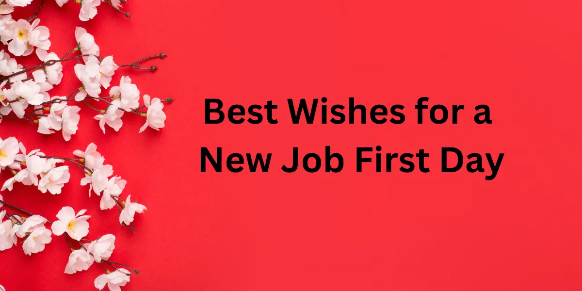 101+ Best Wishes For New Job First Day Confidence & Success